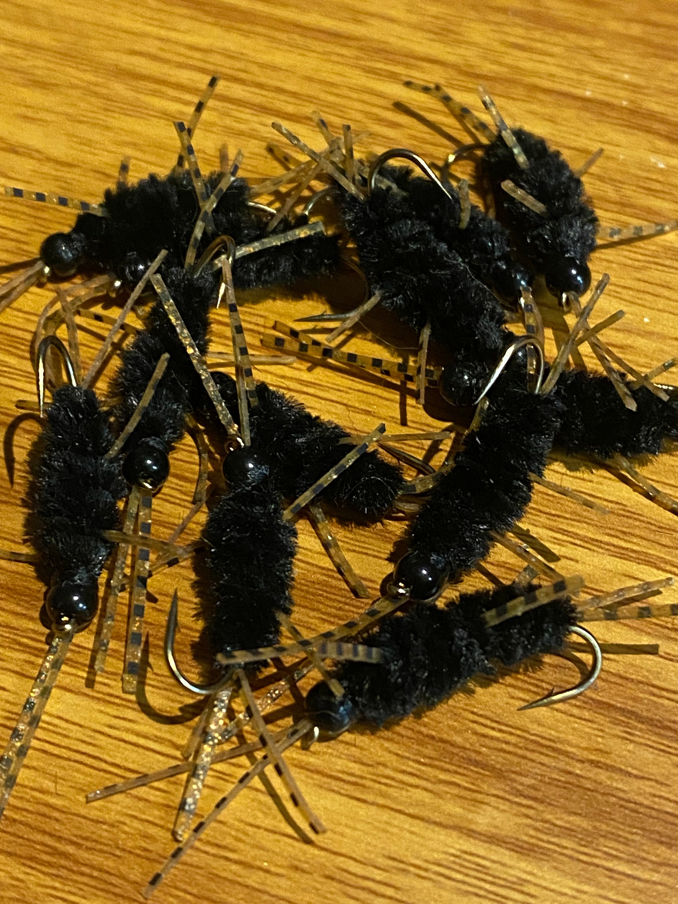 Black Or Mottled Girdle Bug