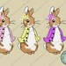 Miss Rabbit Trio Embroidery Design ~ Bunnies in a Row or Single ...