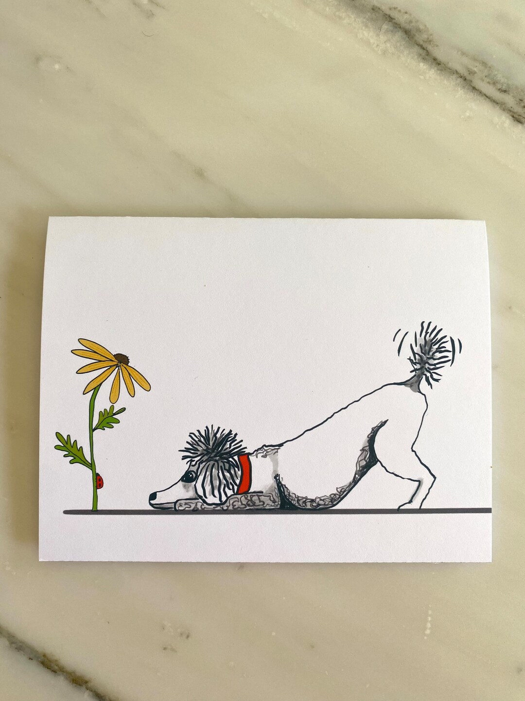 Poodle Greeting Card Featuring a Dog Sniffing a Ladybug on a Daisy ...