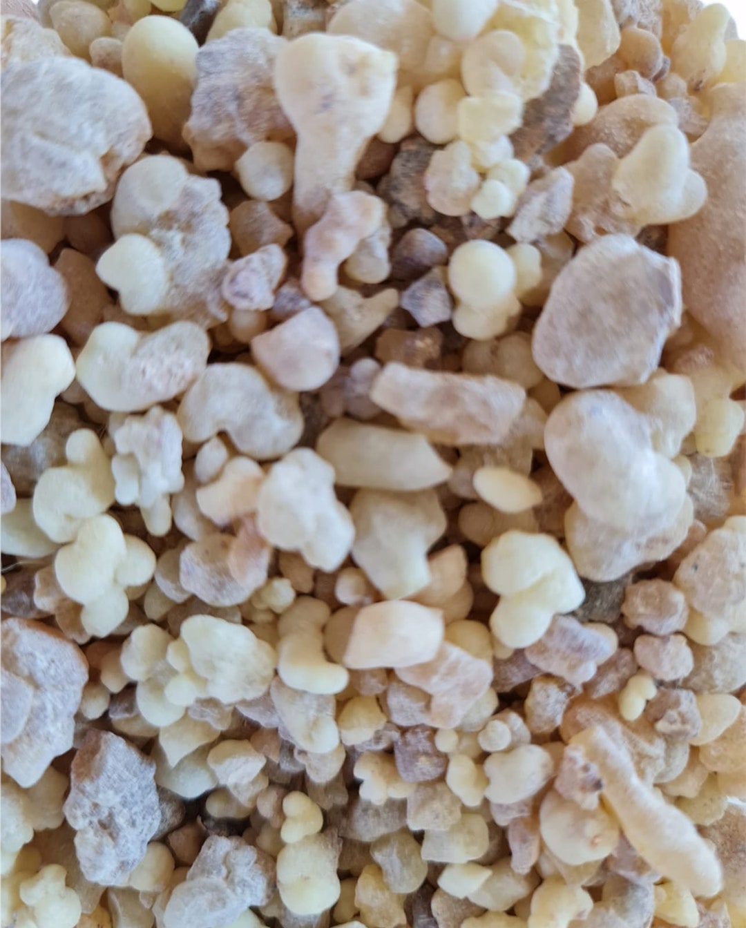 Frankincense Natural Premium Church Incense |gum Olibanum | Boswellia ...