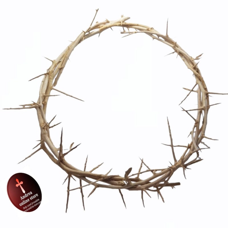 1/2 Inch Crown - Etsy UK