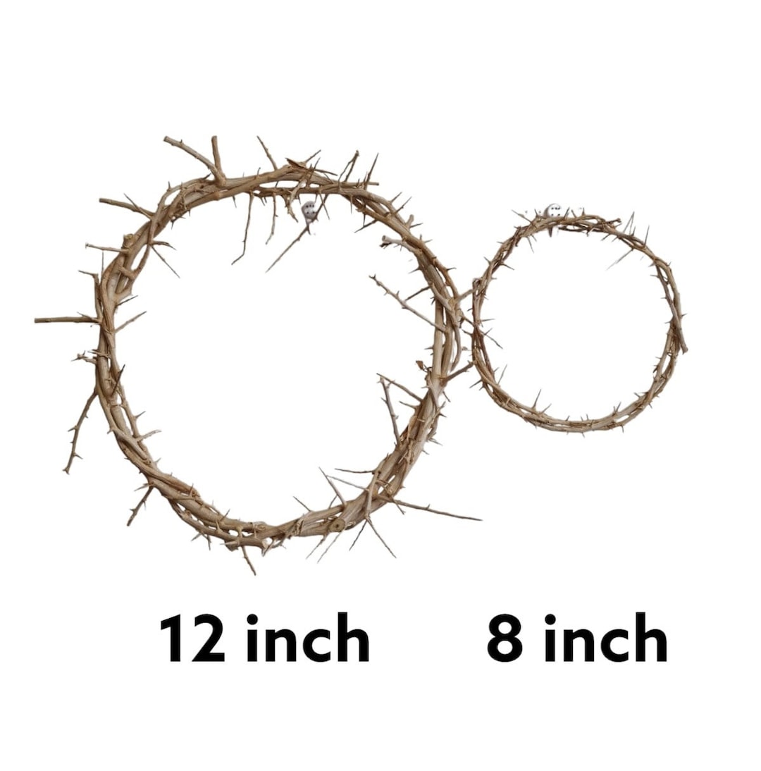 Crown of Thorn 12-inch Big Size a Lot of Thorn Natural Rose Vein - Etsy