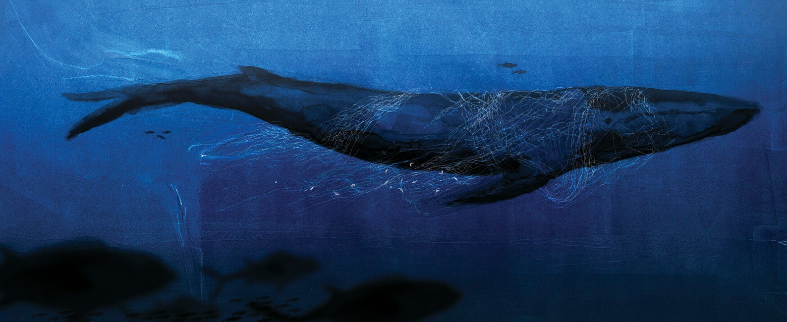 Blue Whale Ghost Fishing Plastic Ocean Sea Protect Our Oceans - Etsy