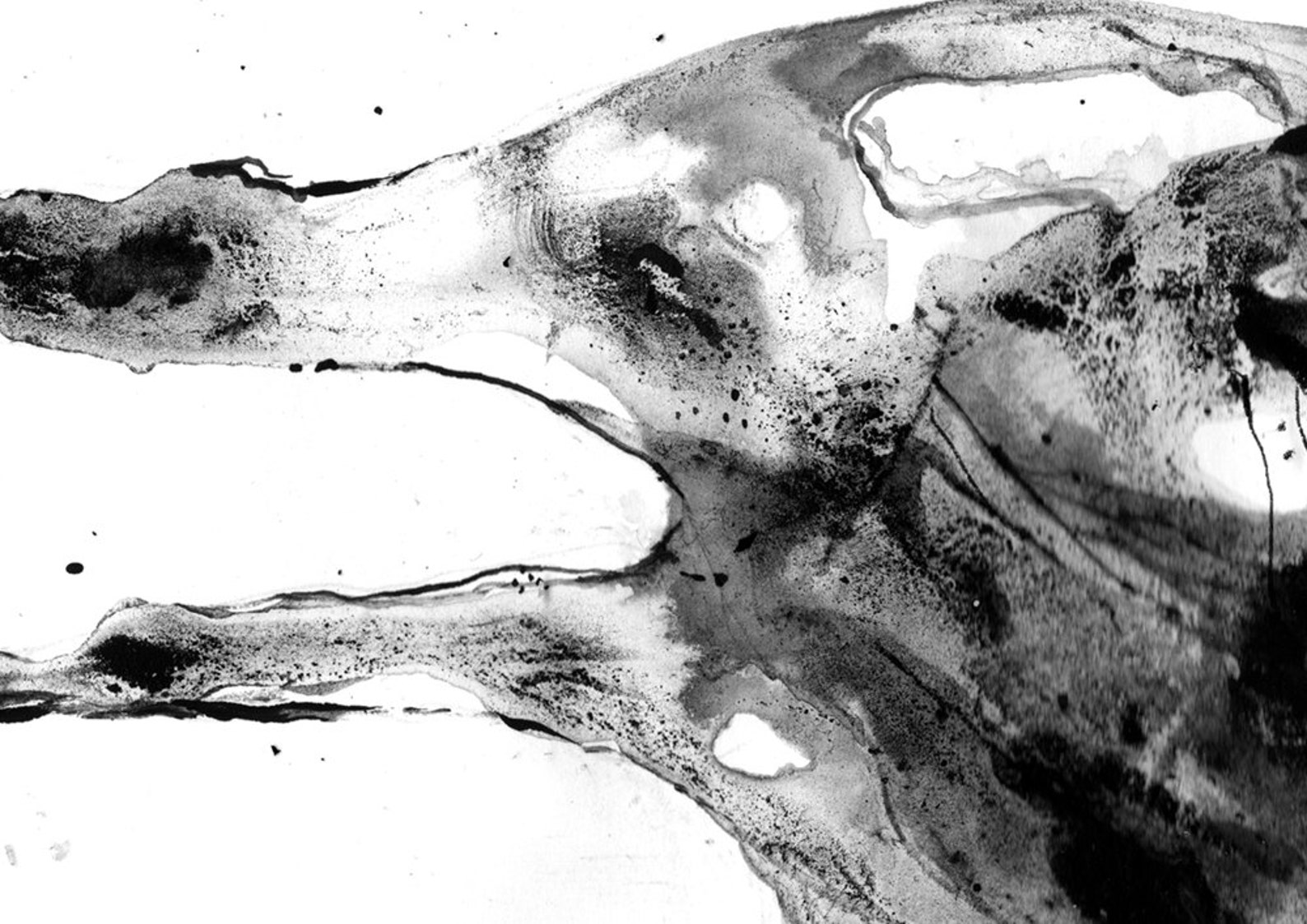 Sad Bird Black and White Crow Art Print Bird Poster Crow - Etsy