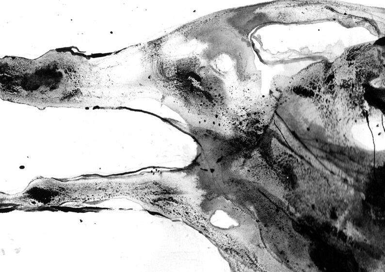 Sad Bird Black and White Crow Art Print Bird Poster Crow - Etsy