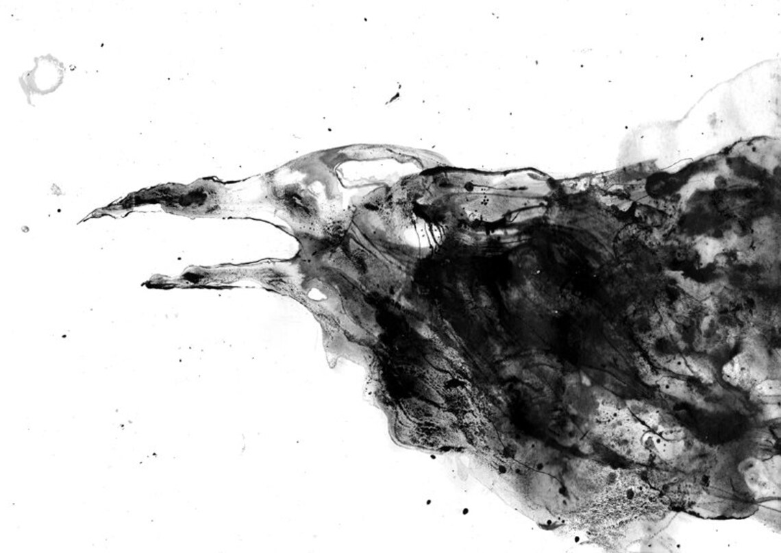 Sad Bird Black and White Crow Art Print Bird Poster Crow - Etsy