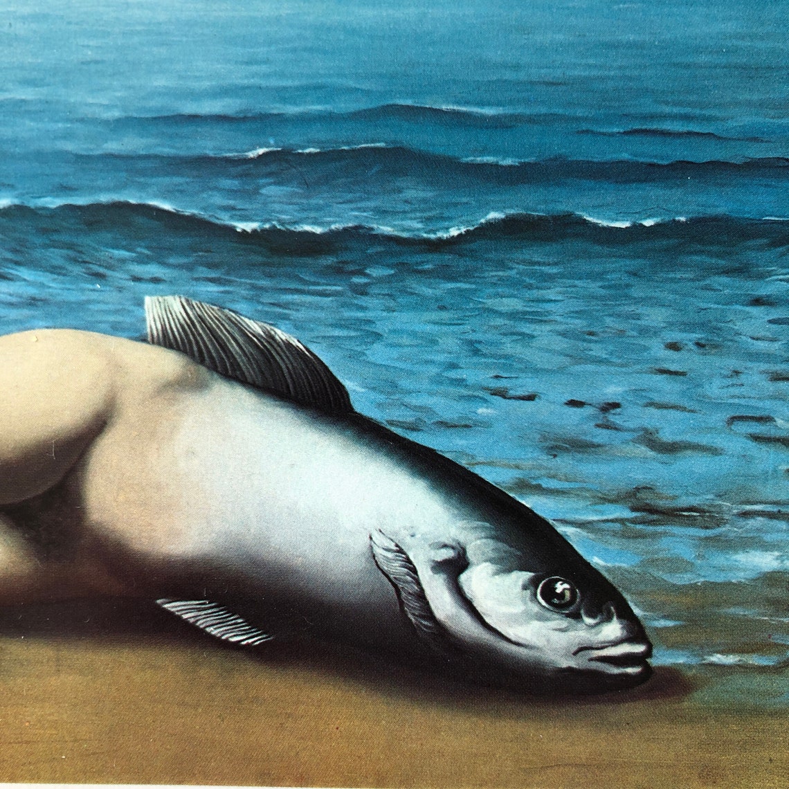 Fisch Illustration Skelett Cartoon Fishbone Objekt Kunst Comic | My XXX ...