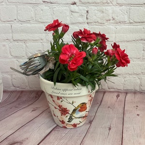 Robin Plant Pot Painted Picture When Robins Appear Decoupage Indoor ...