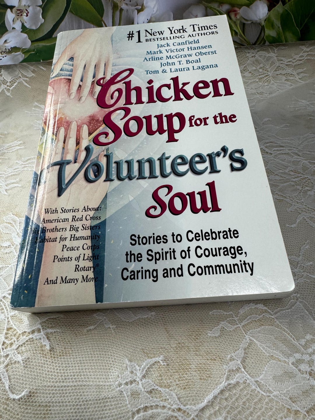 Vintage Book ~ Chicken Soup for the Volunteer’s Soul ~ Stories to ...