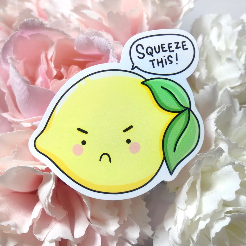 Sour Lemons Vinyl Sticker Set| Cute Planner Stickers| Grumpy Boys ...
