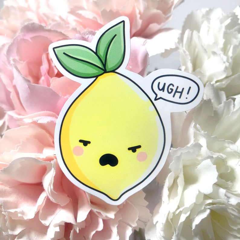 Sour Lemons Vinyl Sticker Set| Cute Planner Stickers| Grumpy Boys ...