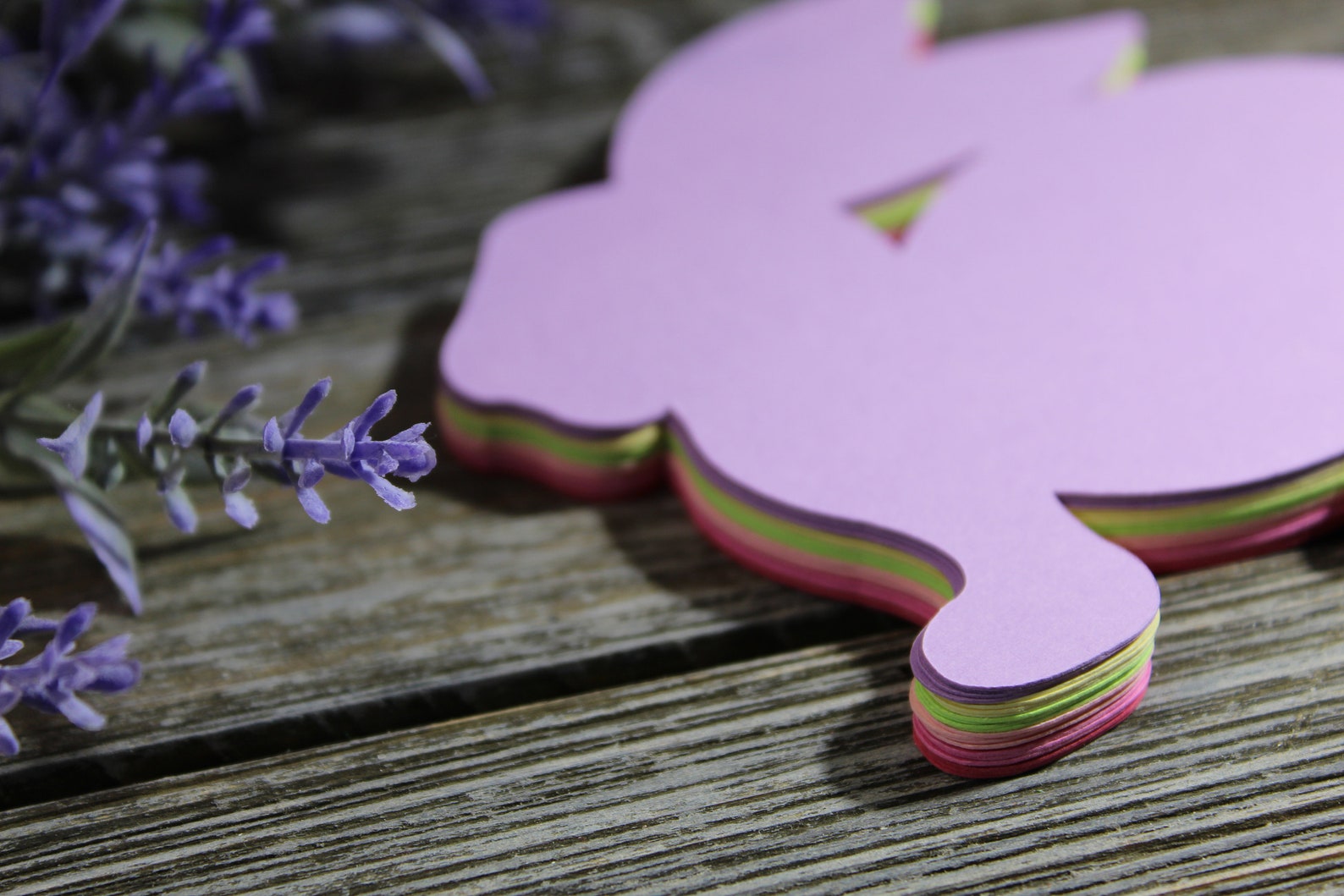 Bunny Die Cuts Rabbit Die Cuts Spring Easter 24 PC Set | Etsy