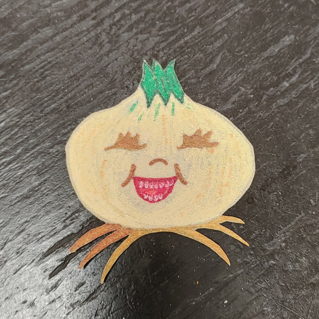 Vintage Anthropomorphic Hand Made Onion Magnet - Etsy