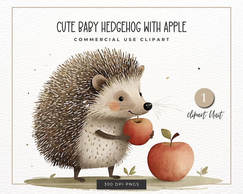 Baby Hedgehog Clipart, Nursery Decor, Woodland Animal PNG (digital ...