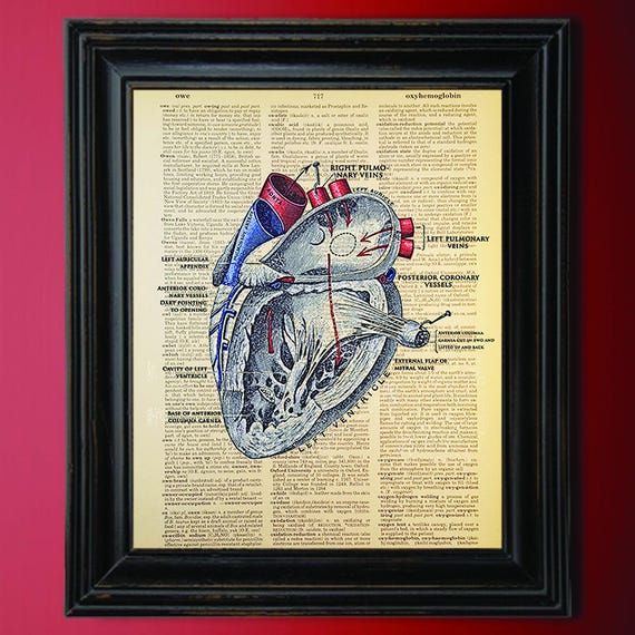 Heart Diagram Vintage Anatomy Medical Art Dictionary Art | Etsy