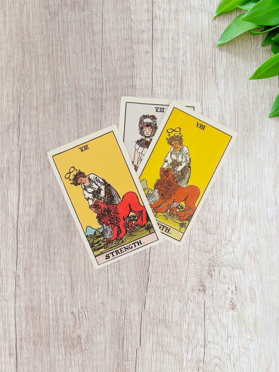 Strength Sticker Tarot Stickers Water Bottle Sticker Tarot Stickers ...