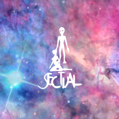 Sectual - Etsy