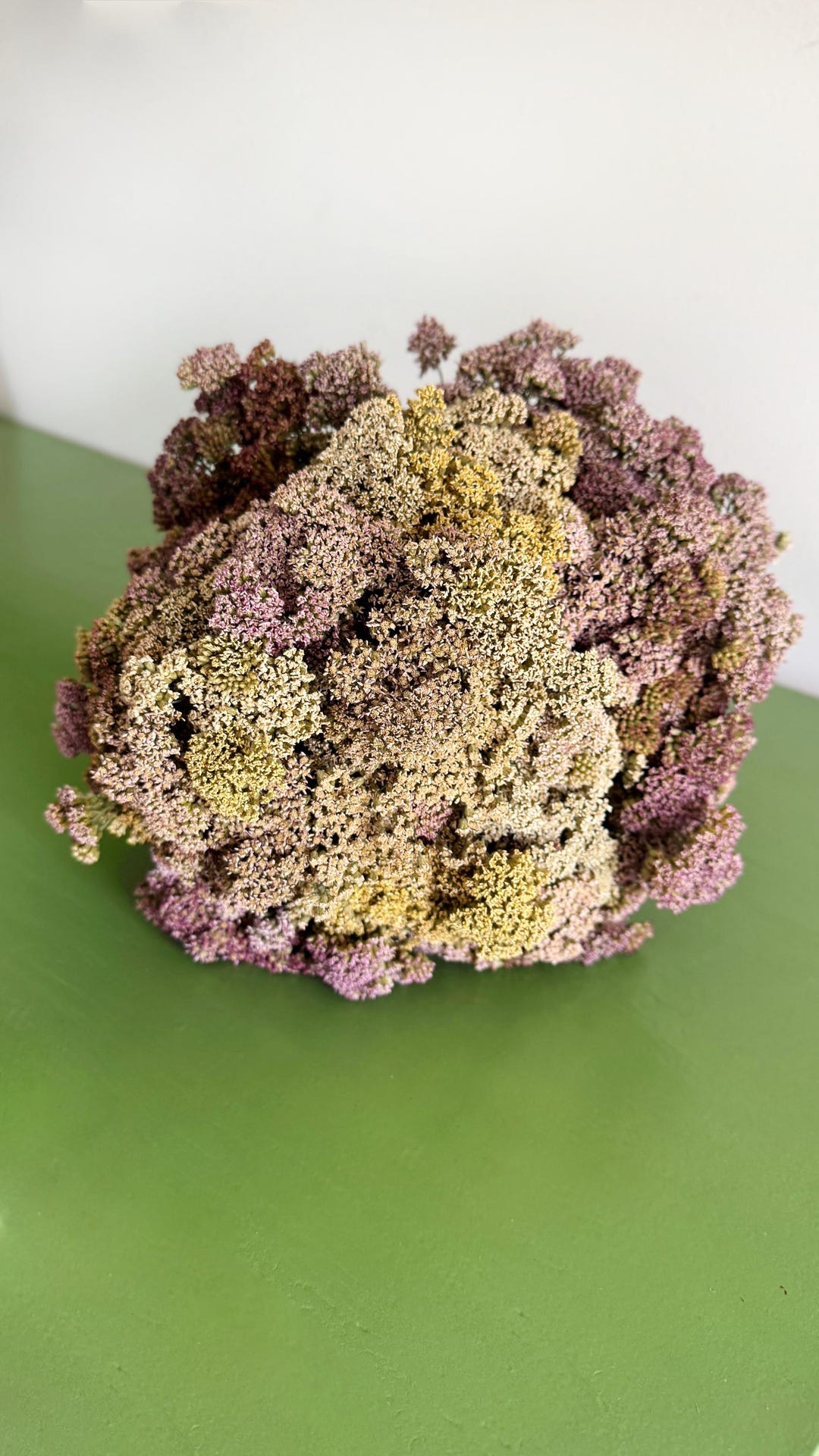 Mixed Dried Yarrow Flowers, Yarrow Bunches, Pastel Preserved Flower ...