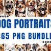 46 PNG Dog Designs, Huggable Hounds Bundle, 13 Breeds, Commercial Use ...