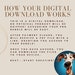 46 PNG Dog Designs, Huggable Hounds Bundle, 13 Breeds, Commercial Use ...