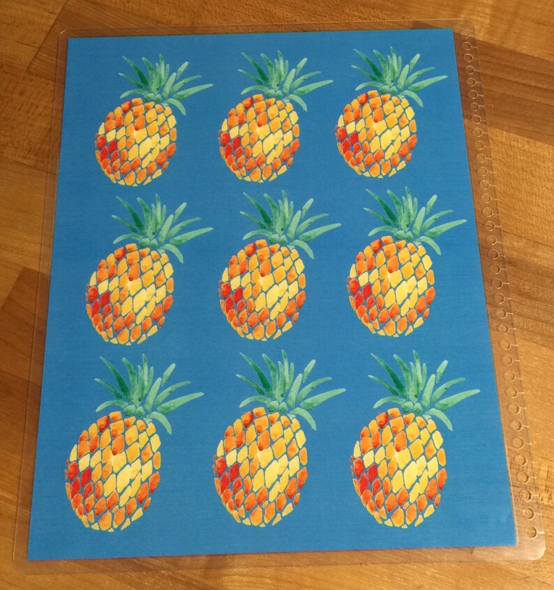 Front and Back Cover Set Sweet Pineapple for Use With Classic - Etsy
