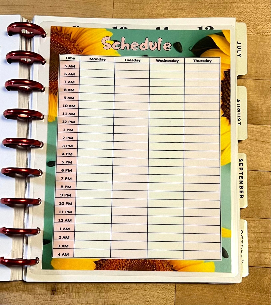 DASHBOARD Schedule / Daily / Hourly for Use With Classic Happy Planner ...