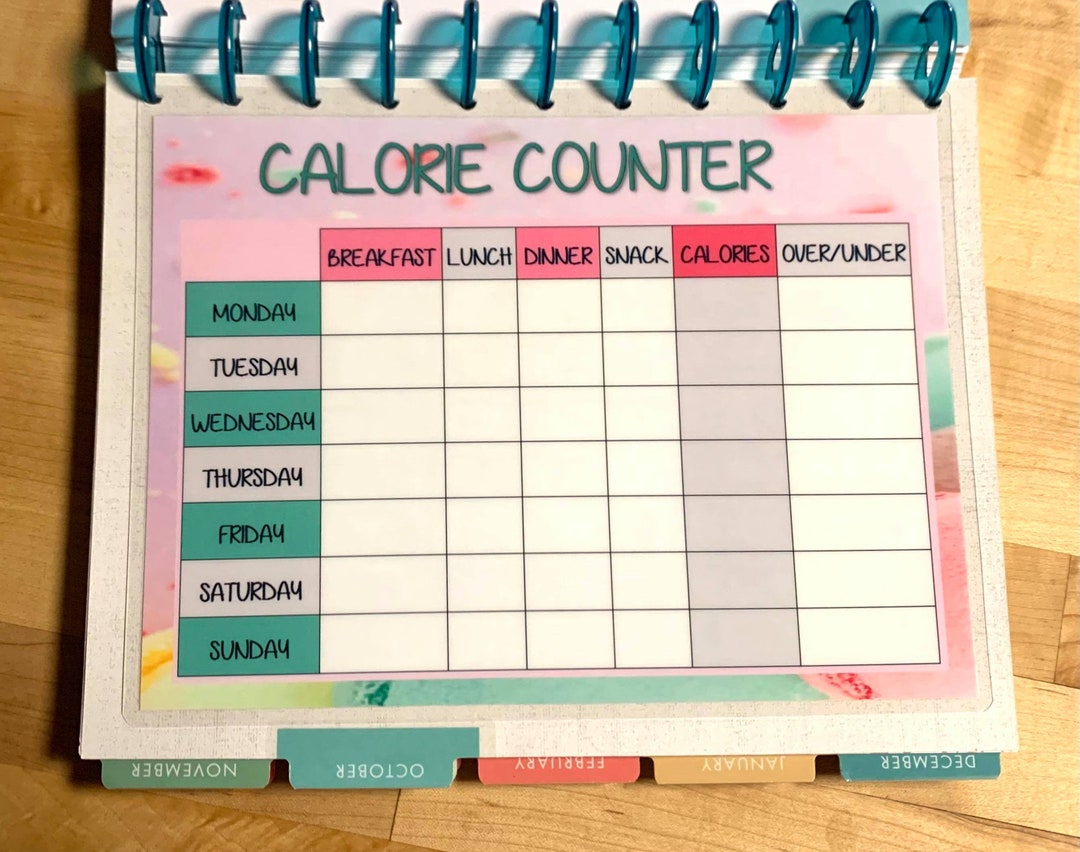 DASHBOARD Calorie Counter for Use With BIG Happy Planner double Sided ...