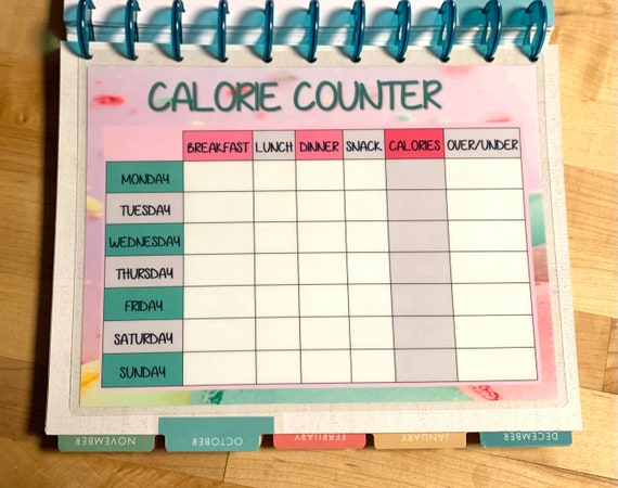 DASHBOARD Calorie Counter for Use With BIG Happy Planner | Etsy