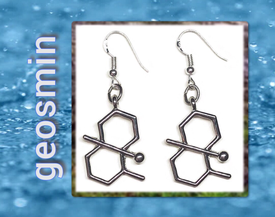 Geosmin Rain Smell Molecule Earrings - Etsy