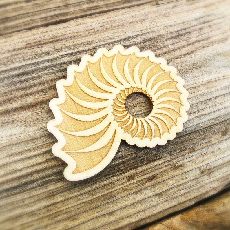 Nautilus Sphere Stands Ammonite Sphere Stands Sphere Stands | Etsy