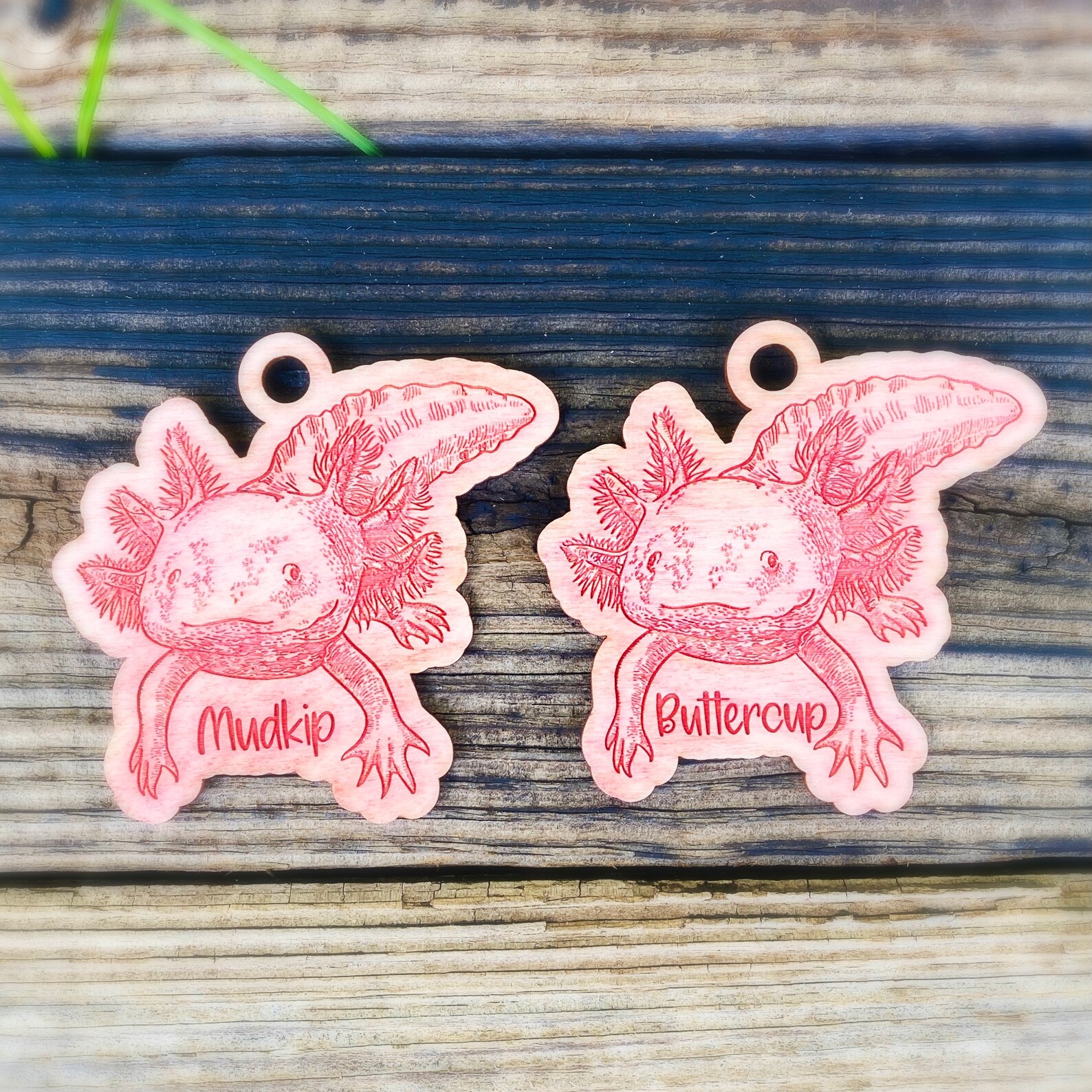 Laser Cut Wood Axolotl Ornament Cutout Decoration Axolotl - Etsy