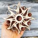 Sun Multi Sphere Stands, Sun Sphere Holder Display Stand, Birch Wood ...