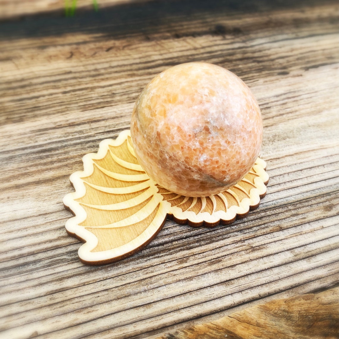 Nautilus Sphere Stands Ammonite Sphere Stands Sphere Stands | Etsy