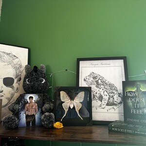 Real Framed Butterfly Handmade Shadow Box Insect Frame Taxidermy ...