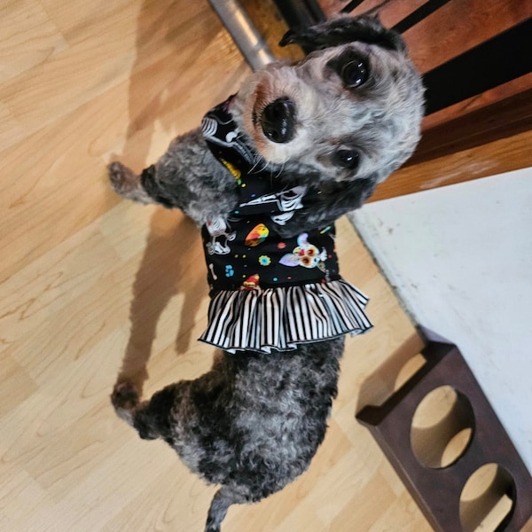 Vintage-inspired wednesday Pet Dress Perfect for Halloween - Etsy