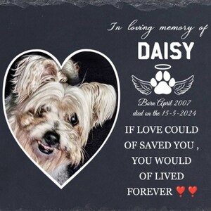 3D Crystal Photo Pet Portrait, Personalized Pet Memorial Gift, Loss of ...