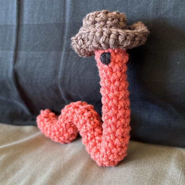 Worm in a Cowboy Hat Amigurumi Pattern PDF - Bug - Stampede - Insect ...