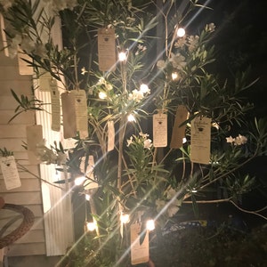 Set of 8 Graduation Party Wishing Tree Tags / Wishes for the Graduate ...