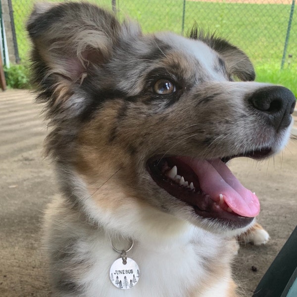 Mini Tree Line Dog Tag - Hand Stamped Pet ID Tag - Personalized Dog Tag ...