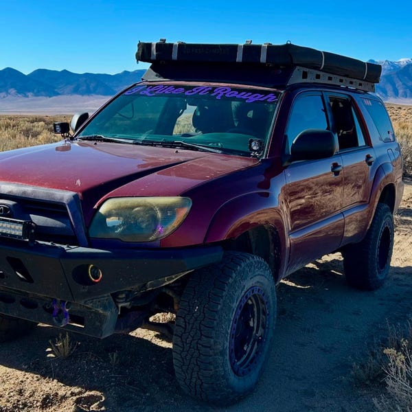 Wile E. Coyote Splat Image in Road Runner Decal - Etsy