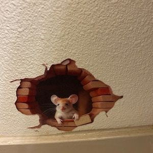 2-pack Caution NEW DRIVER Please Be Patient Bumper Sticker for - Etsy