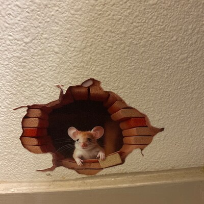 2-pack Caution NEW DRIVER Please Be Patient Bumper Sticker for - Etsy