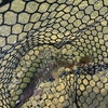 6 "shammy" Chamois Tungsten Worms 6 Color Combo Fly Fishing Flies - Etsy