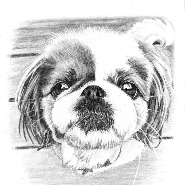 8x10 Custom Pet Portrait Memorial Drawing Photo to Sketch Dog Owner ...