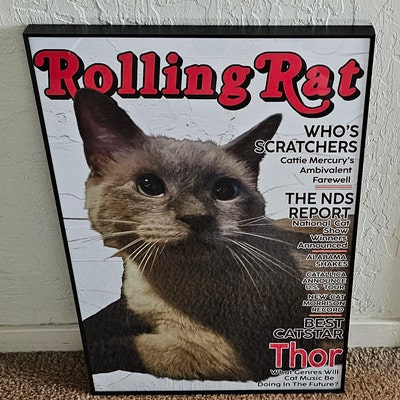 Pet Magazine Cover, Custom Pet Portrait, Funny Gift, Pet Lover Gift ...