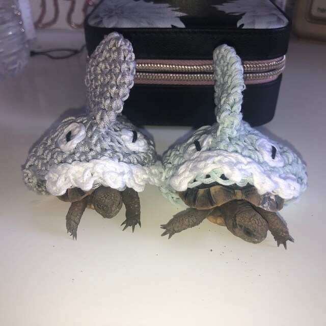 Unique handmade tortoise outfits by Tortiethreads1 on Etsy