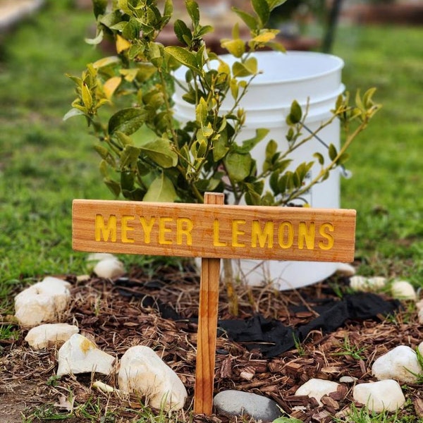 LEMONS Rustic Tree Sign, Hand Routed, Citrus Tree Marker, Yellow Garden ...