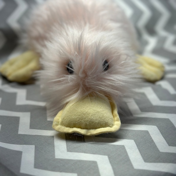 PDF - Fluffy Duck Sewing Pattern - Instant Download - Etsy