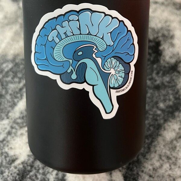 THINK Anatomical Brain Vinyl Die-cut Sticker - Etsy
