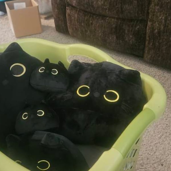 Graduation Gift Positive Potato, Emotional Support Pickle, High School ...